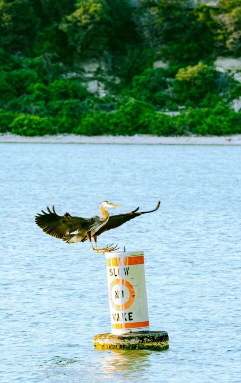 Rock Creek Marina | Lake Perry Boat & Sea Doo Rentals